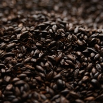American Briess Black Malt | Alternative Beverage