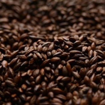 American Briess Roasted Barley | Alternative Beverage