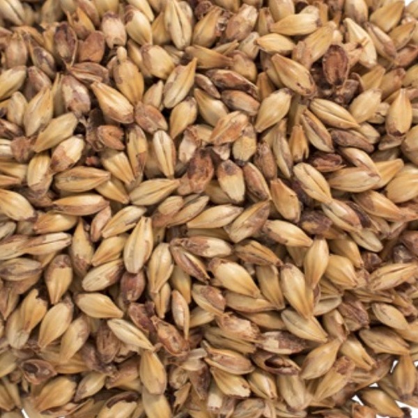 American Briess Dark Aromatic ® Munich Malt 20L | Alternative Beverage