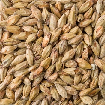 American Briess Carapils Malt | Alternative Beverage